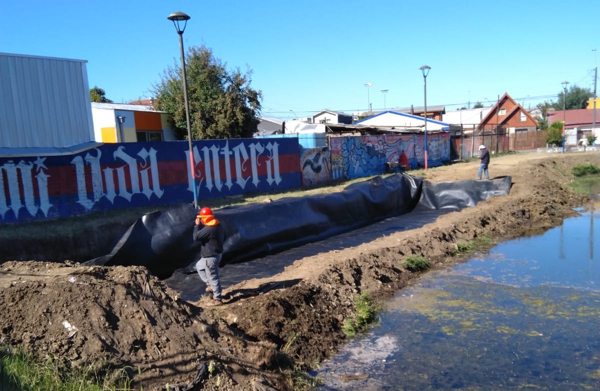 www.dica.ubiobio.cl - Inauguran primer humedal artificial en Concepción ...